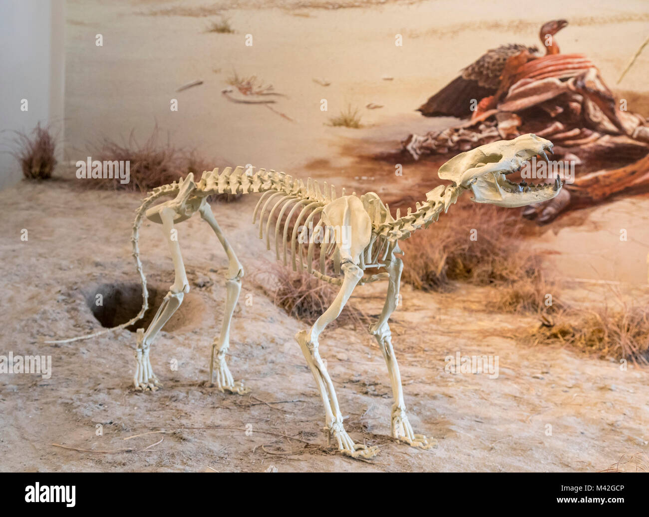 Harrison, Nebraska - Agate Fossil Beds National Monument. The ...