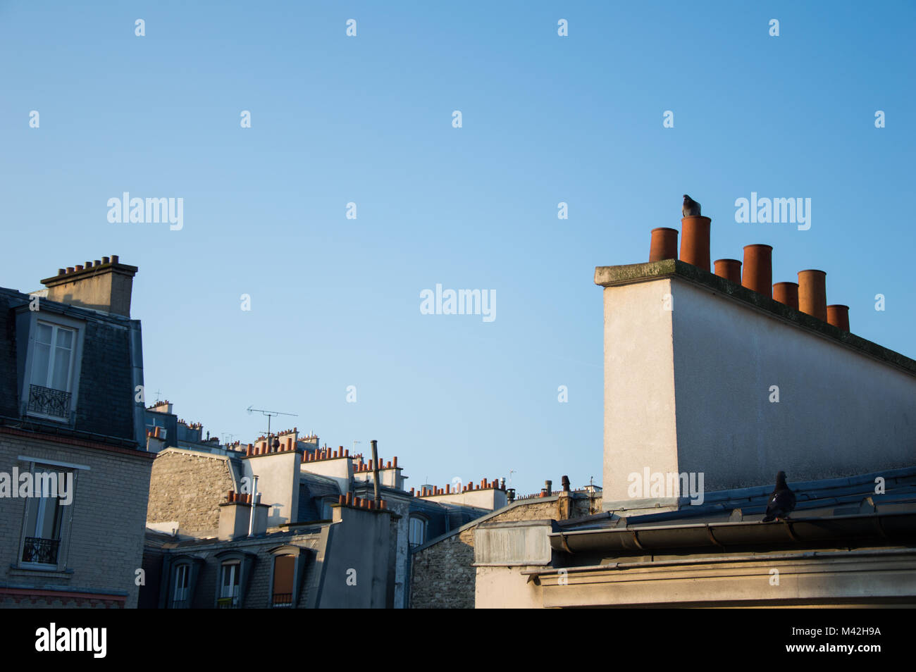 Typical rooftops of Paris Stock Photo - Alamy