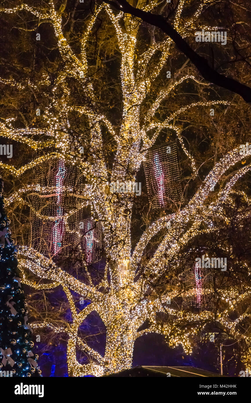Colourful illuminated Christmas trees and decorations, Winter ...