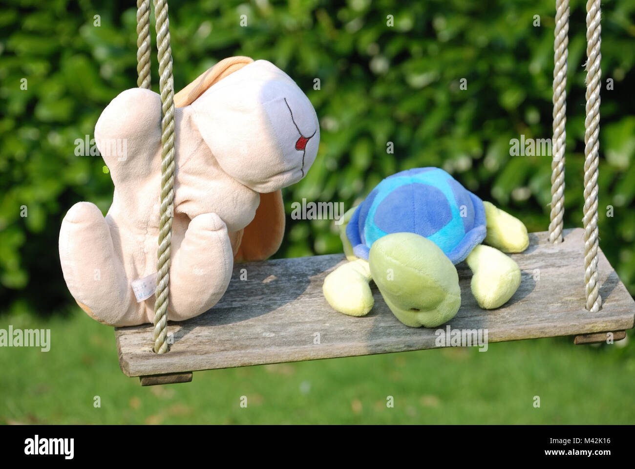 Plush turtle hi-res stock photography and images - Alamy