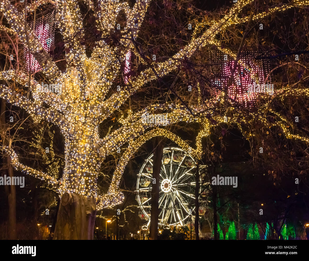 Colourful illuminated Christmas trees and decorations, Winter ...