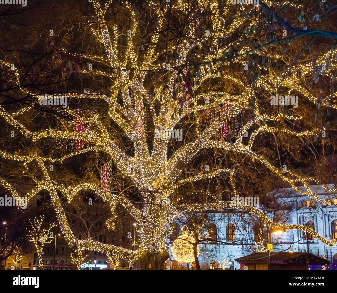 Colourful illuminated Christmas trees and decorations, Winter ...