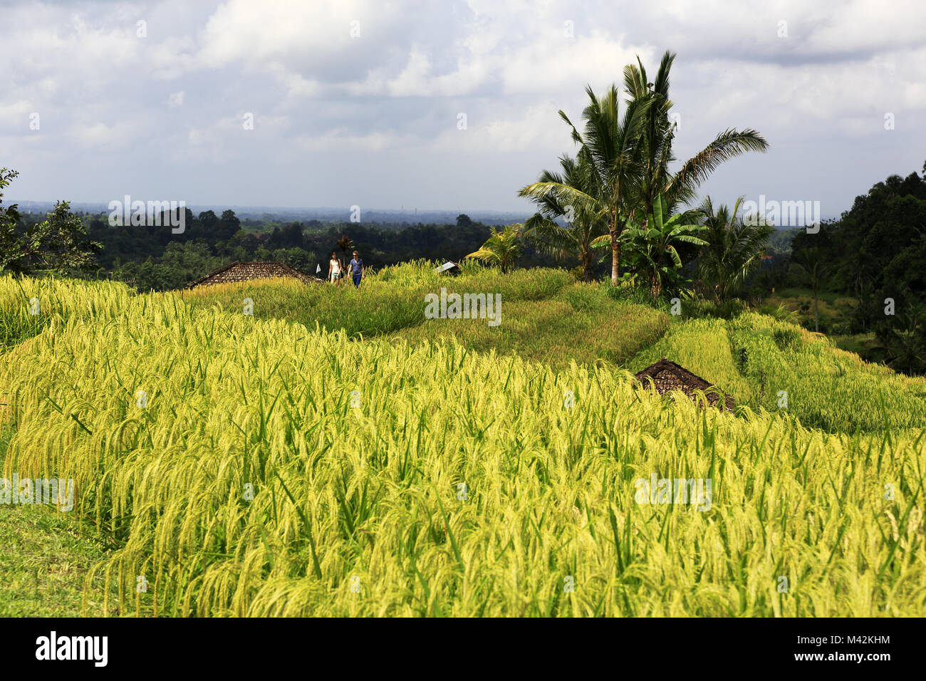 Bali visitors hi-res stock photography and images - Alamy