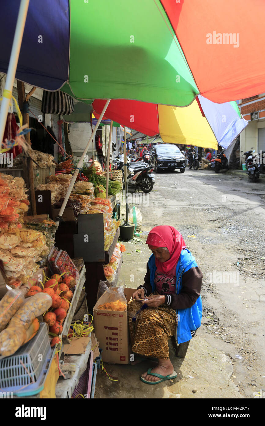A female vendor selling fruit and vegetable at Candi Kuning Market ...