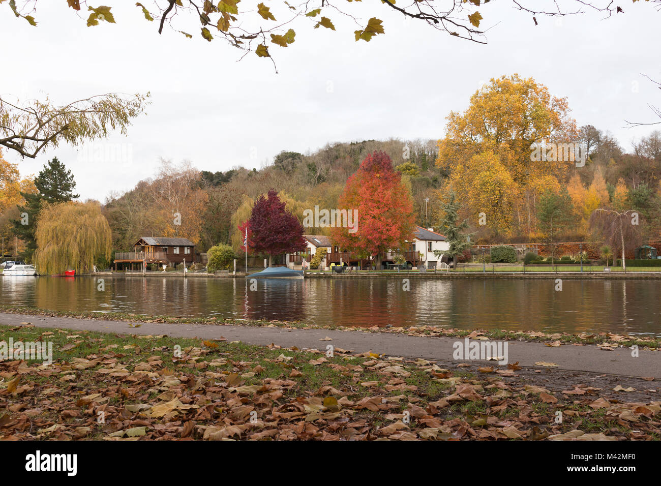 Autumn colours alongside the river at Henley on Thames, Oxfordshire ...