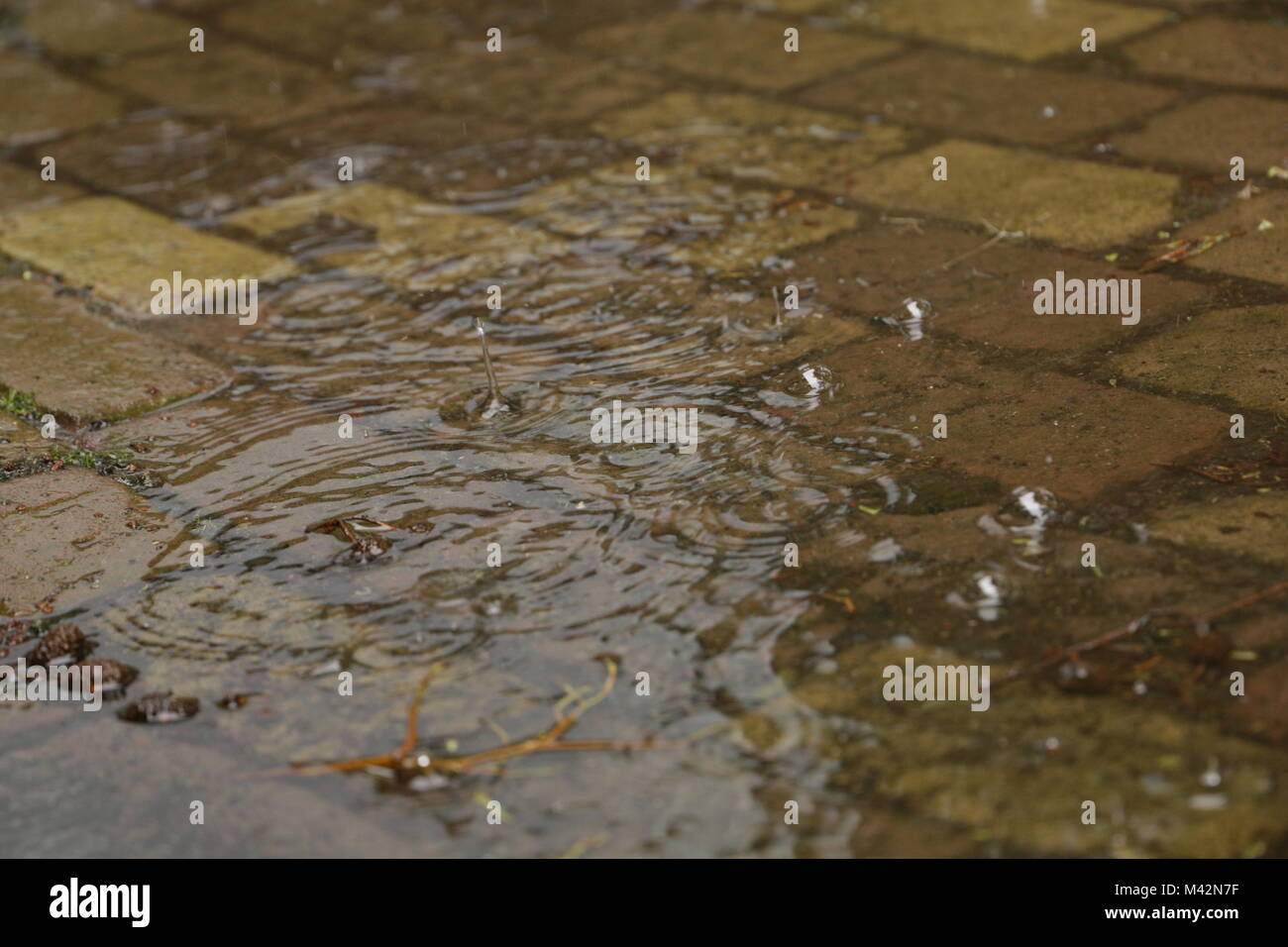 Rain is falling on the street Stock Photo - Alamy