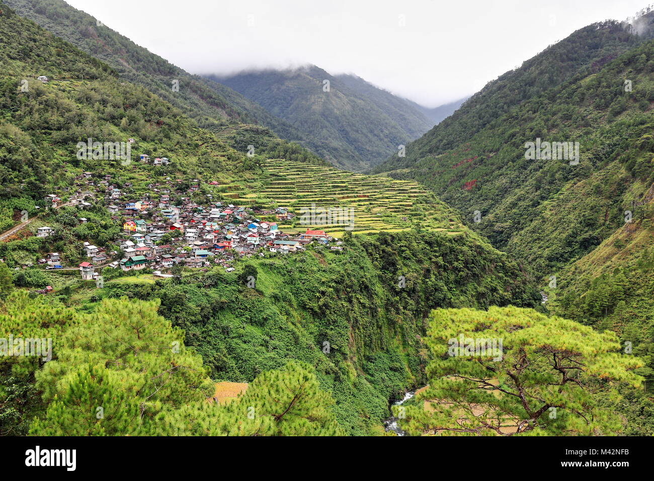 Igorot agriculture hi-res stock photography and images - Alamy