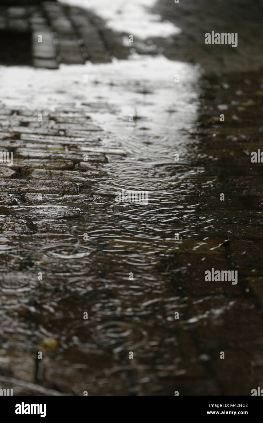 Rain is falling on the street Stock Photo - Alamy