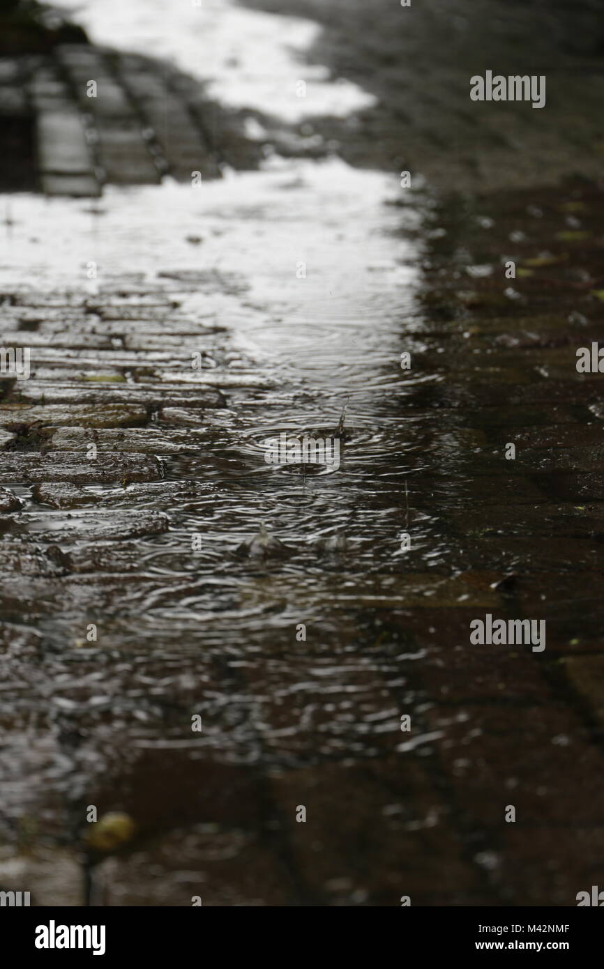 Rain is falling on the street Stock Photo - Alamy