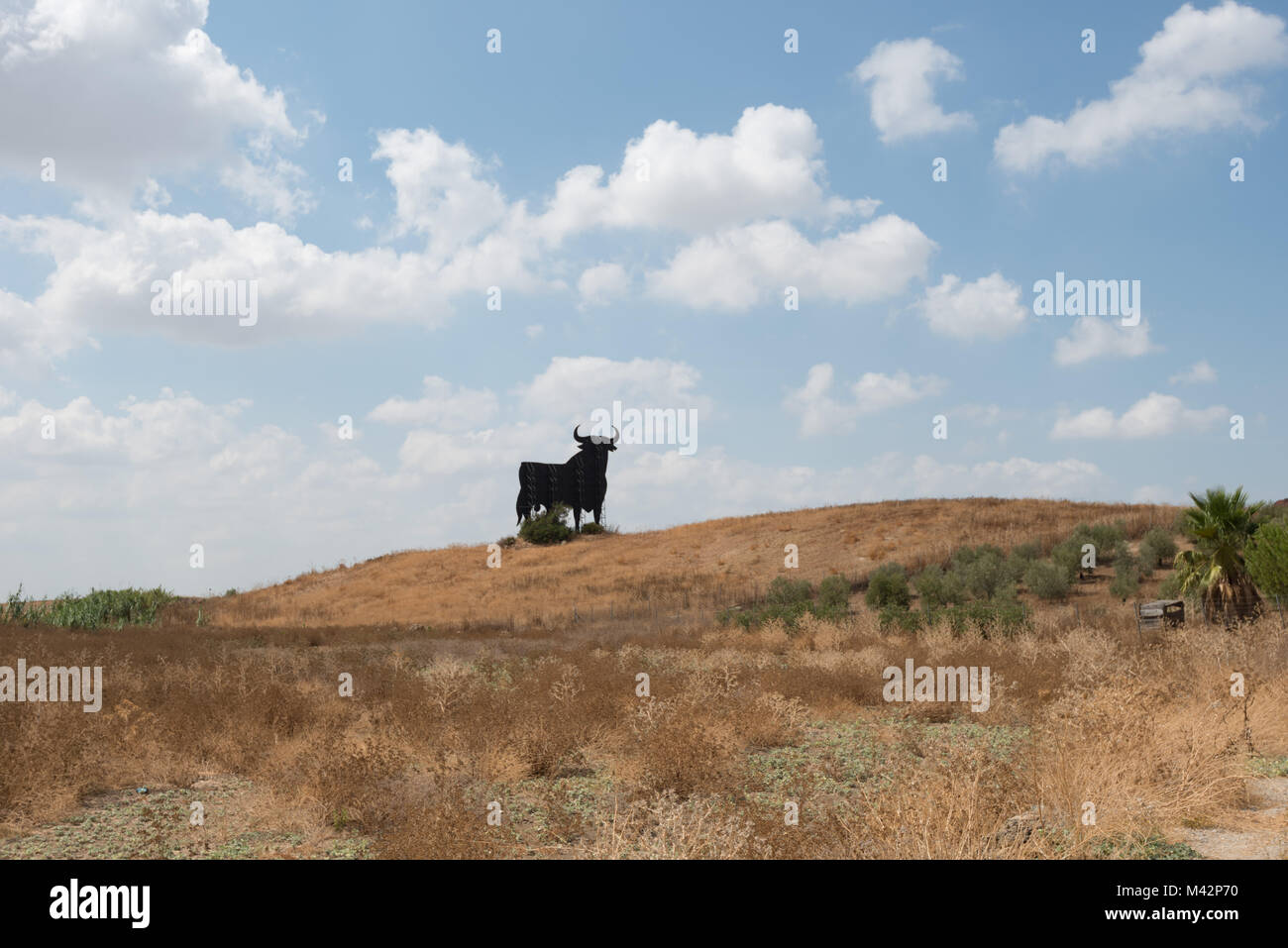 Spanish bull sign hi-res stock photography and images - Alamy