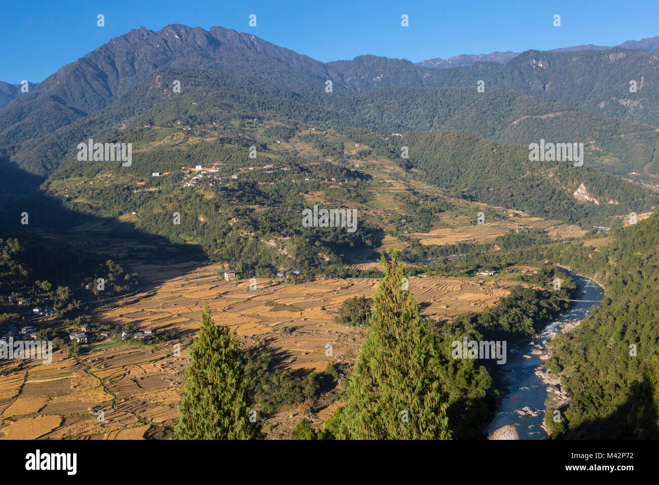 Punakha, Bhutan. Bhutanese Countryside. Scenic View of Farms, Rice ...