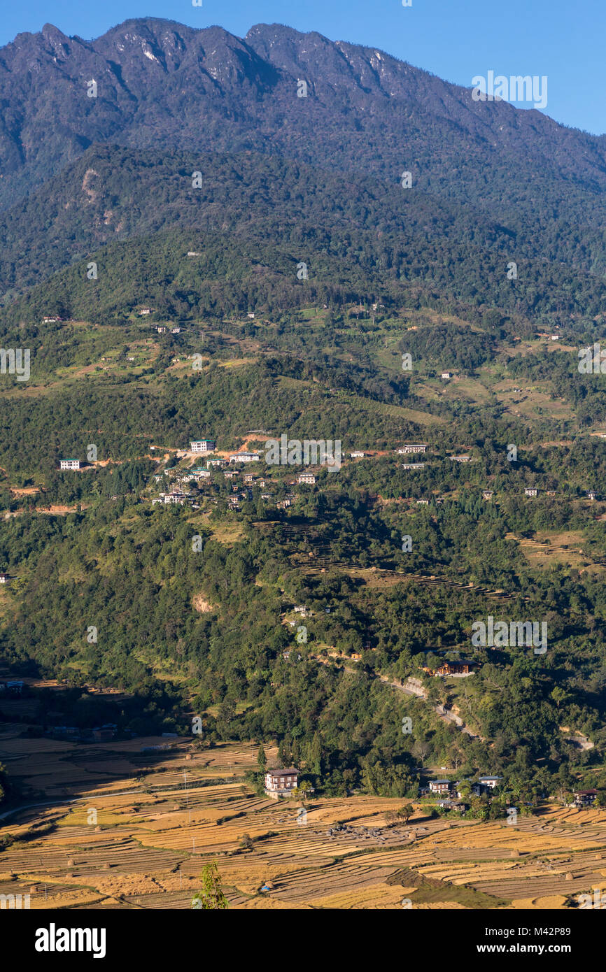Punakha, Bhutan. Bhutanese Countryside. Scenic View of Farms, Rice ...