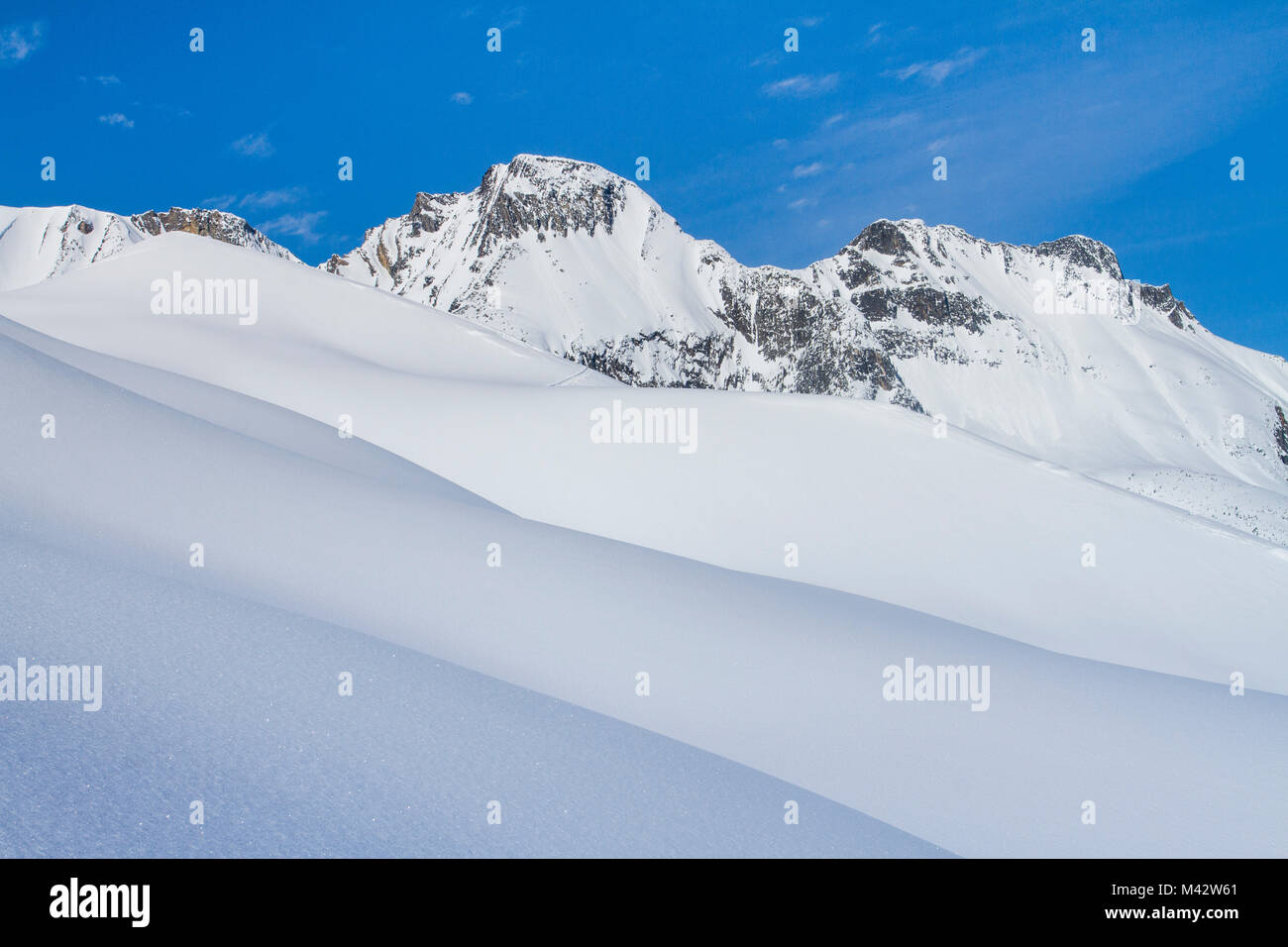 Canadian landscape at Roger pass - British Columbia - Canada Stock ...