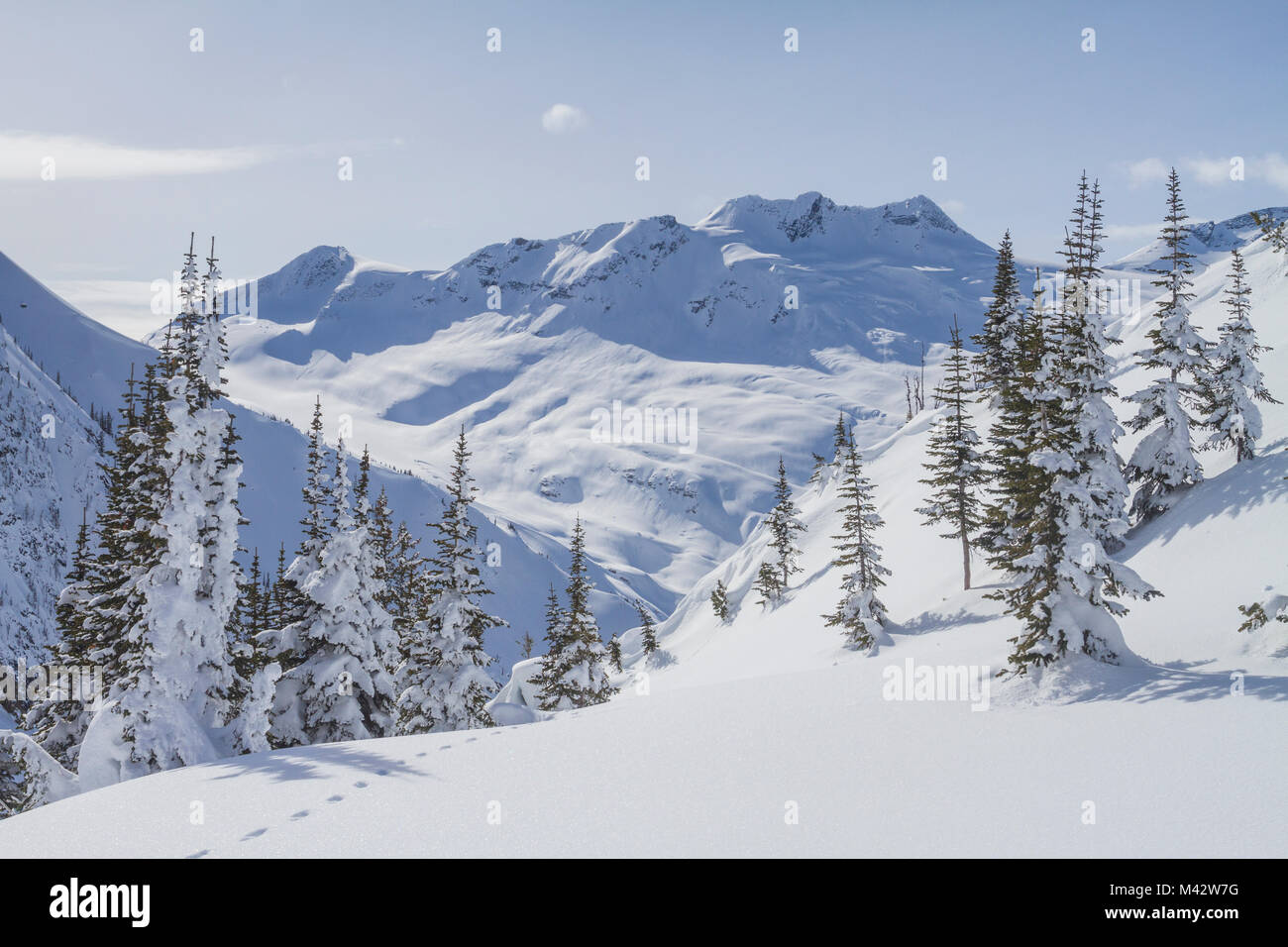 Look out during winter, Roger pass, British Columbia, Canada Stock ...