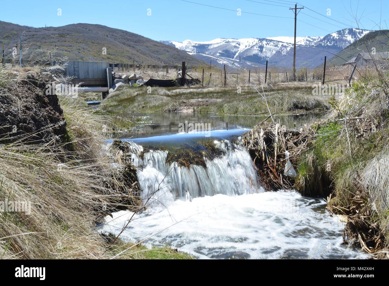 Heber hi-res stock photography and images - Alamy