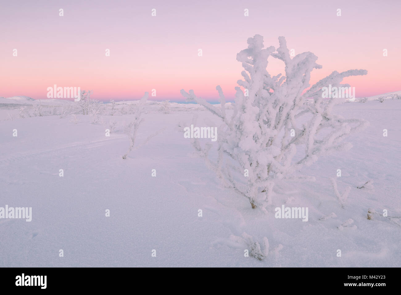 Sunrise in the Abisko National Park,Kiruna,Sweden,Europe Stock Photo ...