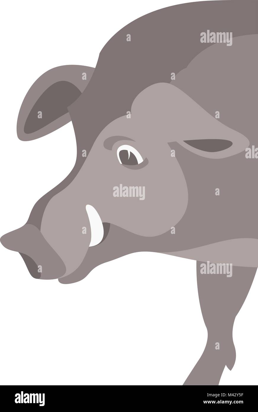 boar wild head face vector illustration flat style Stock Vector Image ...