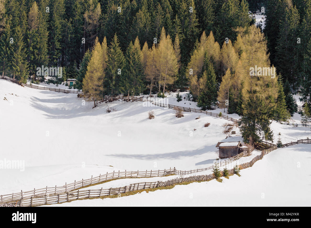 Obernberg am Brenner, Innsbruck Land, Tirol - Tyrol, Austria, Europe ...