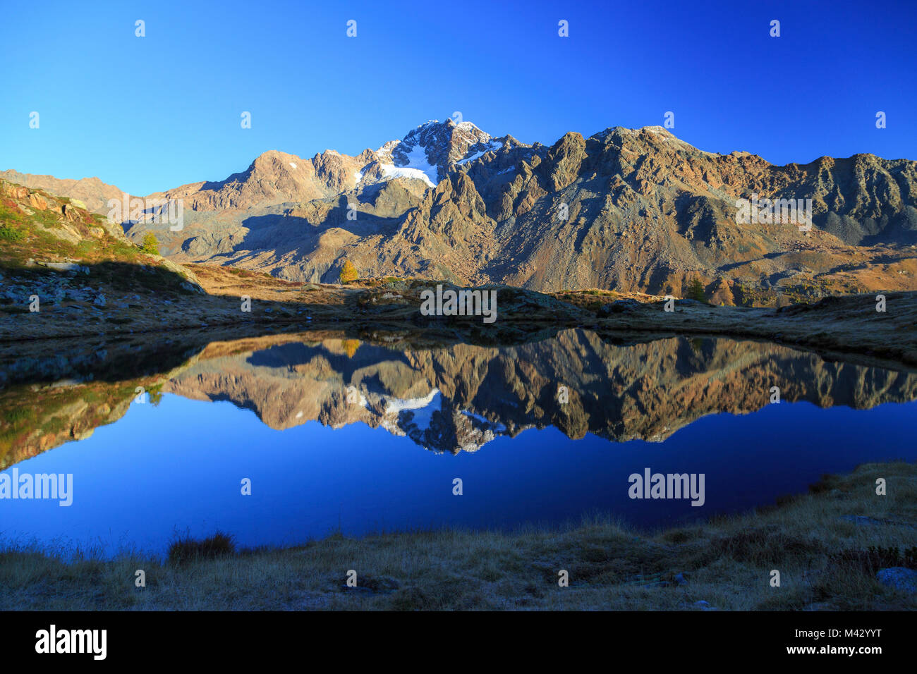 Rocky peaks of Mount Disgrazia reflected in the clear water of Lake ...