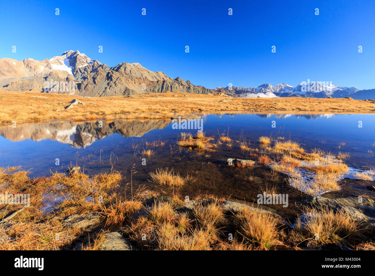 Monte bernina hi-res stock photography and images - Alamy