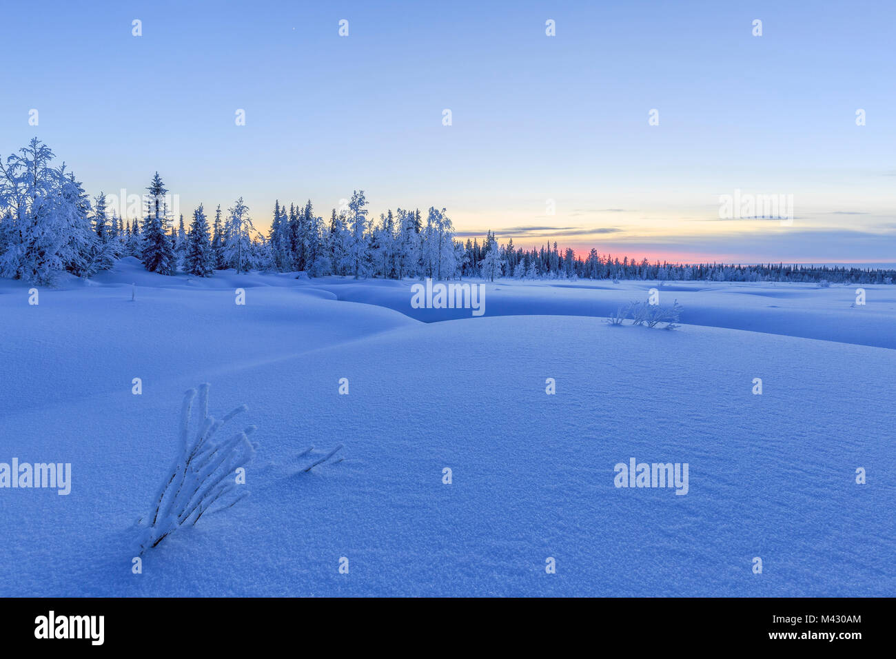 Sunset above the taiga at the border between Sweden and Finland ...