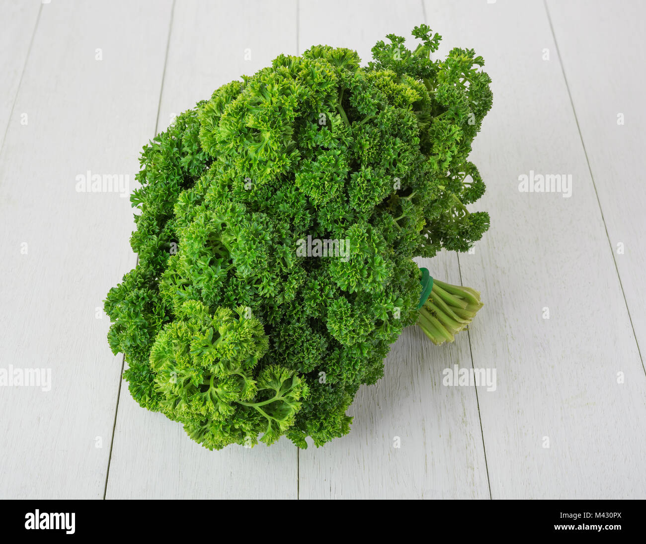 Curly green leaf hi-res stock photography and images - Alamy
