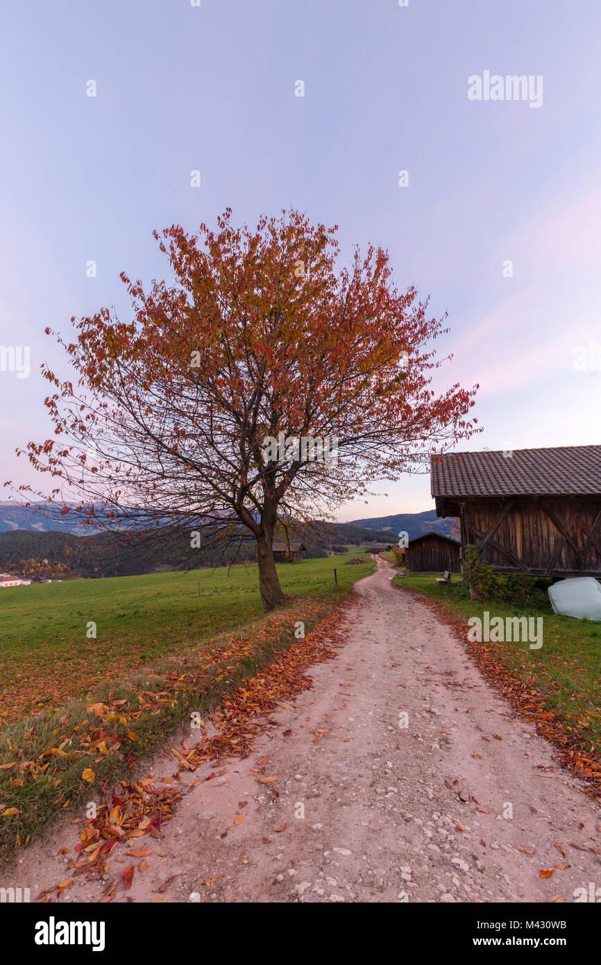 Alpine landscape during autumn, Castelrotto, Seiser Alm, Bolzano ...