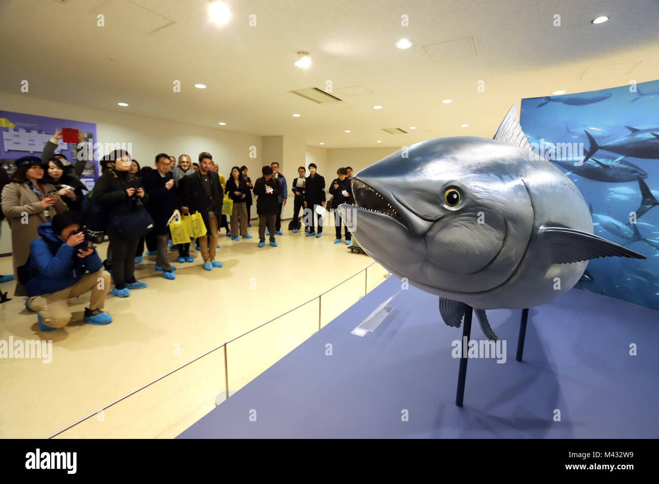 Tokyo, Japan. 13th Feb, 2018. A large tuna object is displayed at the ...