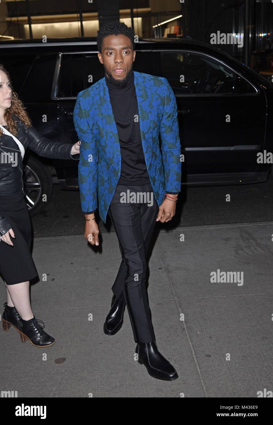 Black panther 2018 chadwick hi-res stock photography and images - Alamy