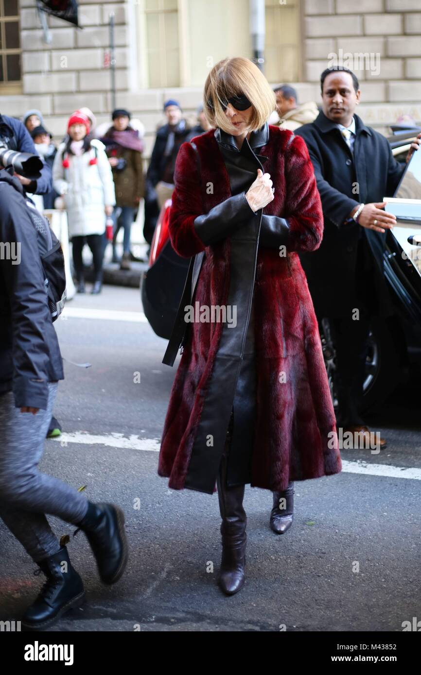 Anna Wintour, Editor in Chief of Vogue Magazine, arriving for the Oscar ...