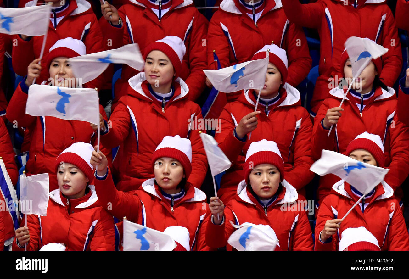Gangneung, South Korea. 14th Feb, 2018. North Korean fans cheering from ...