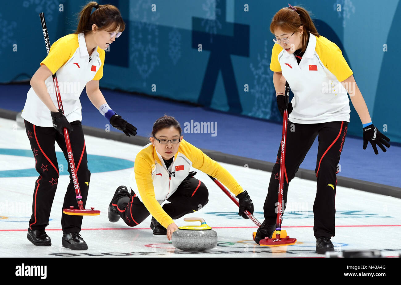 (180214) -- PYEONGCHANG, Feb. 14, 2018 (Xinhua) -- Team members of ...