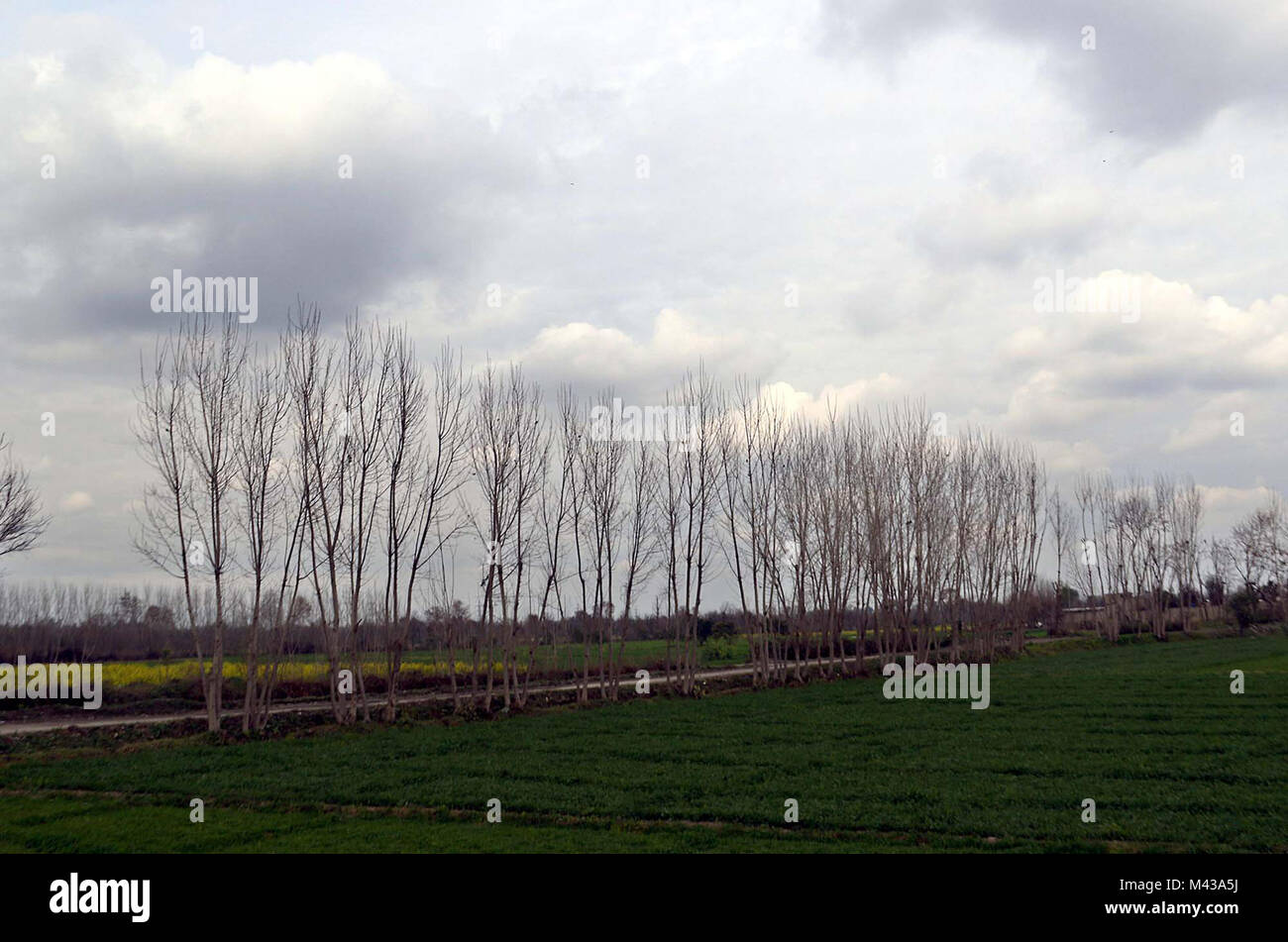 Beautiful eye catching view of agricultural field during cloudy weather ...