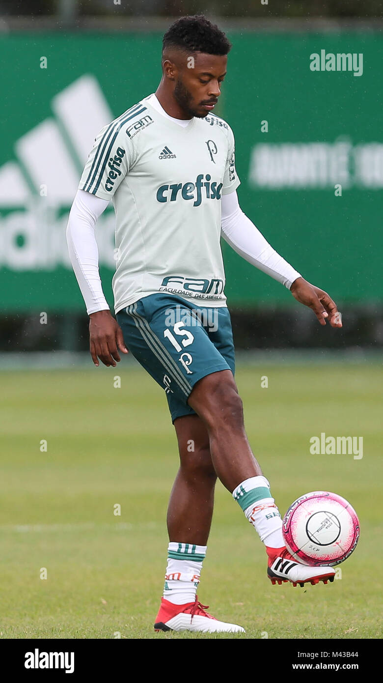 SÃO PAULO, SP - 13.02.2018: TREINO DO PALMEIRAS - The player Michel ...