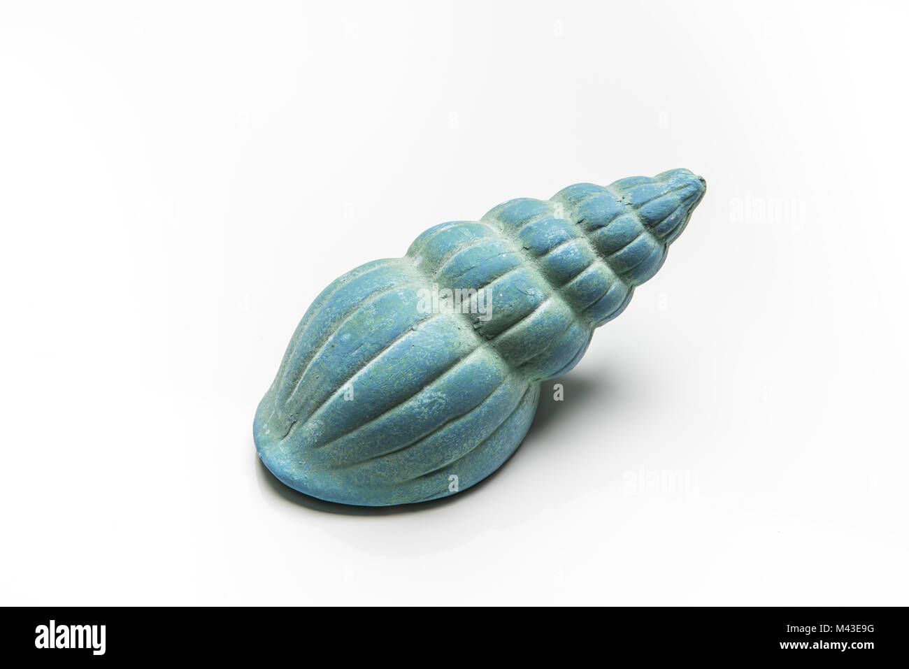 Blue Seashells Isolated Stock Photo - Alamy
