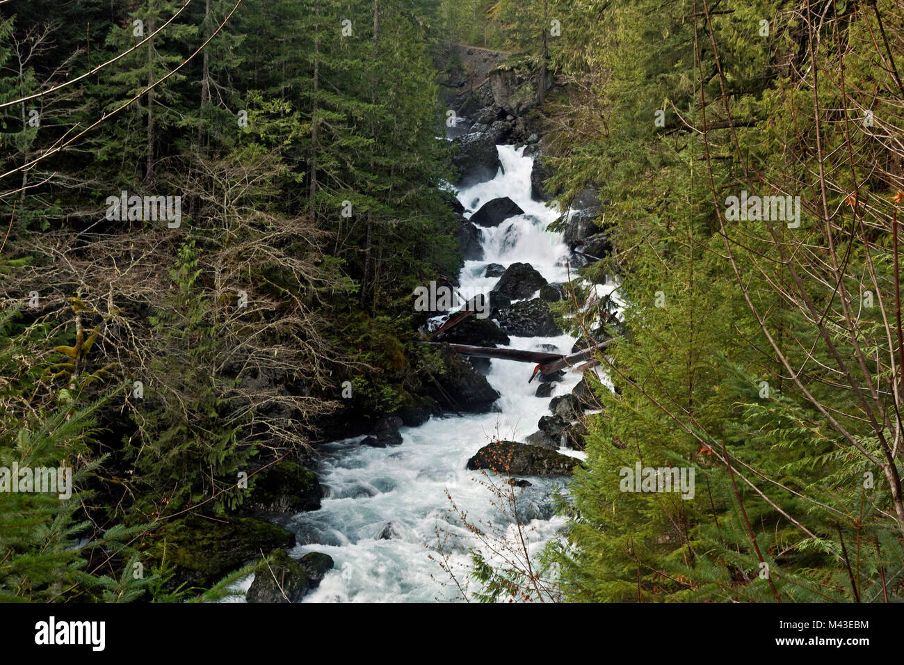 Dosewallips hi-res stock photography and images - Alamy