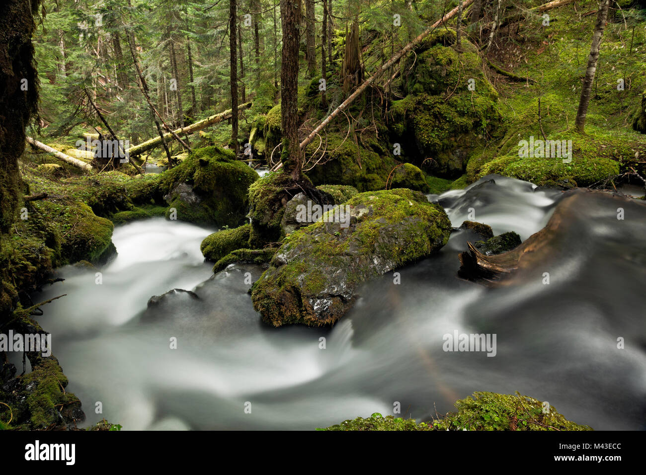 Quilcene hi-res stock photography and images - Alamy