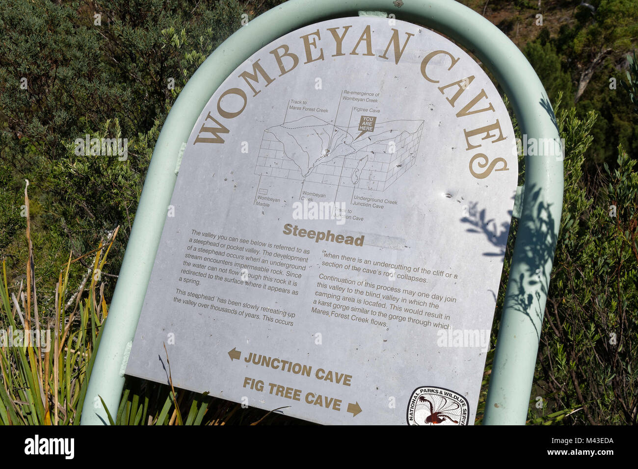 Stock Photo - Fig Tree Cave, Wombeyan Caves, Wombeyan Karst ...