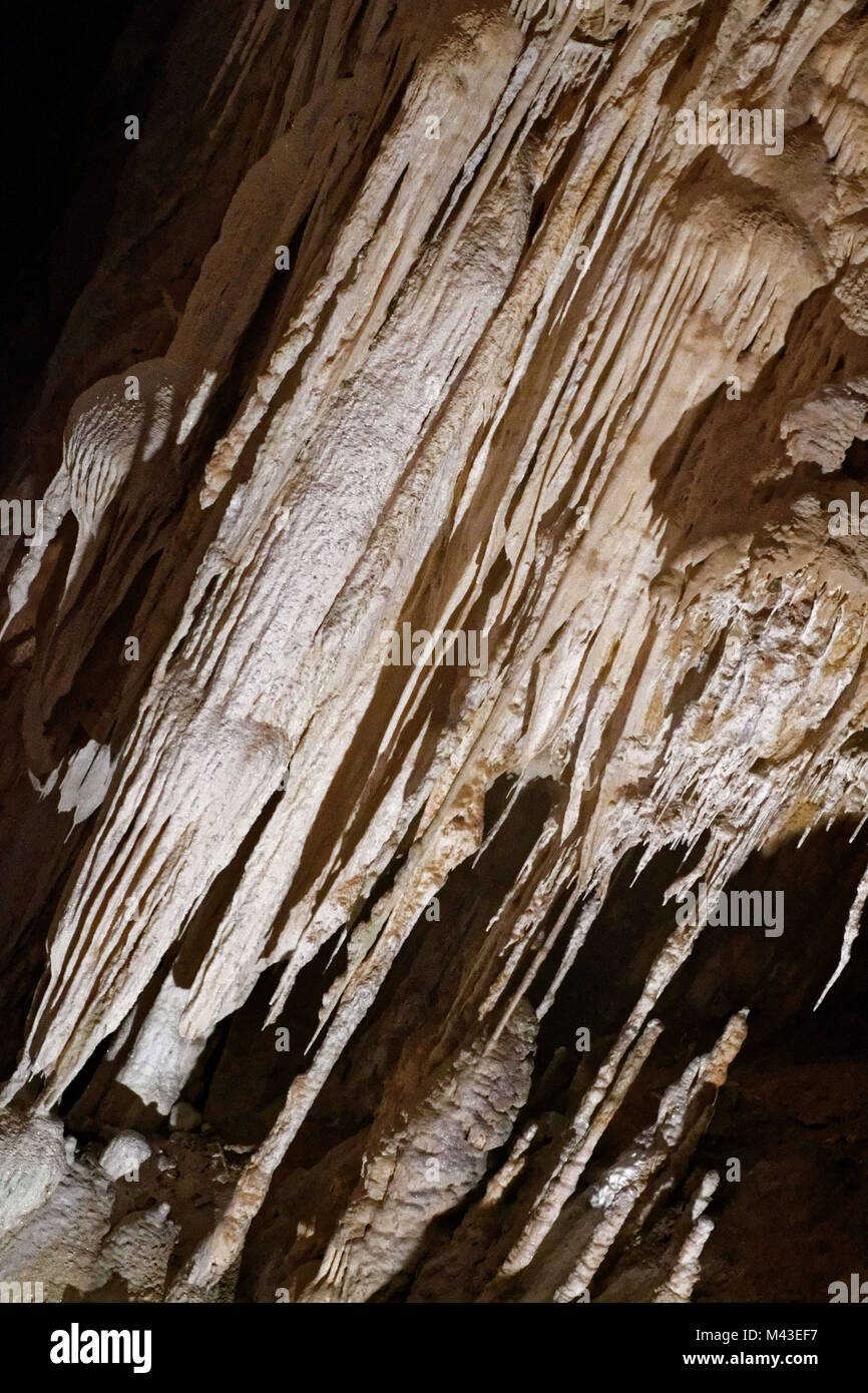 Stock Photo - Fig Tree Cave, Wombeyan Caves, Wombeyan Karst ...