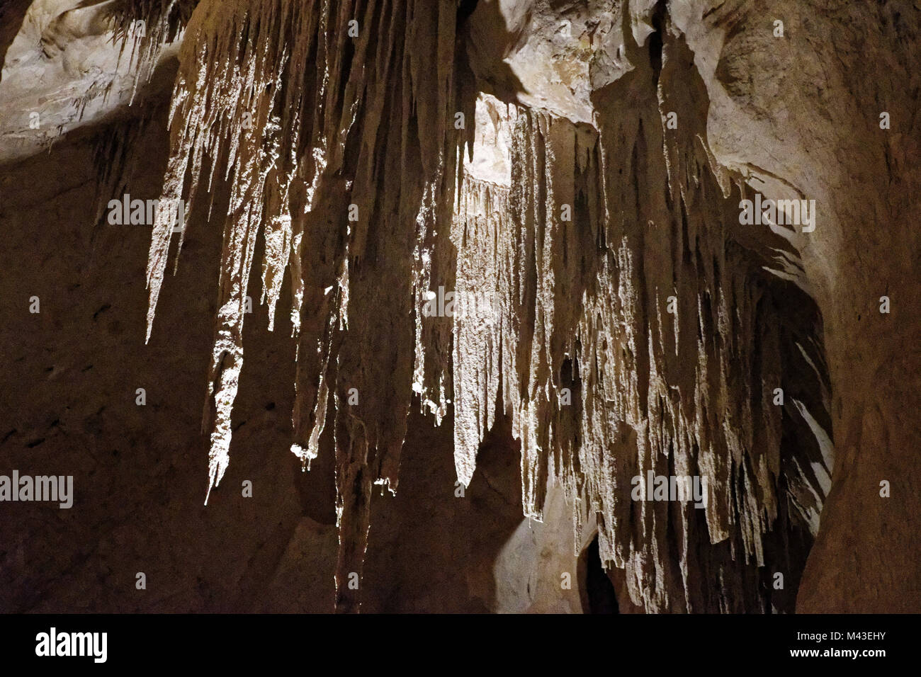 Stock Photo - Fig Tree Cave, Wombeyan Caves, Wombeyan Karst ...