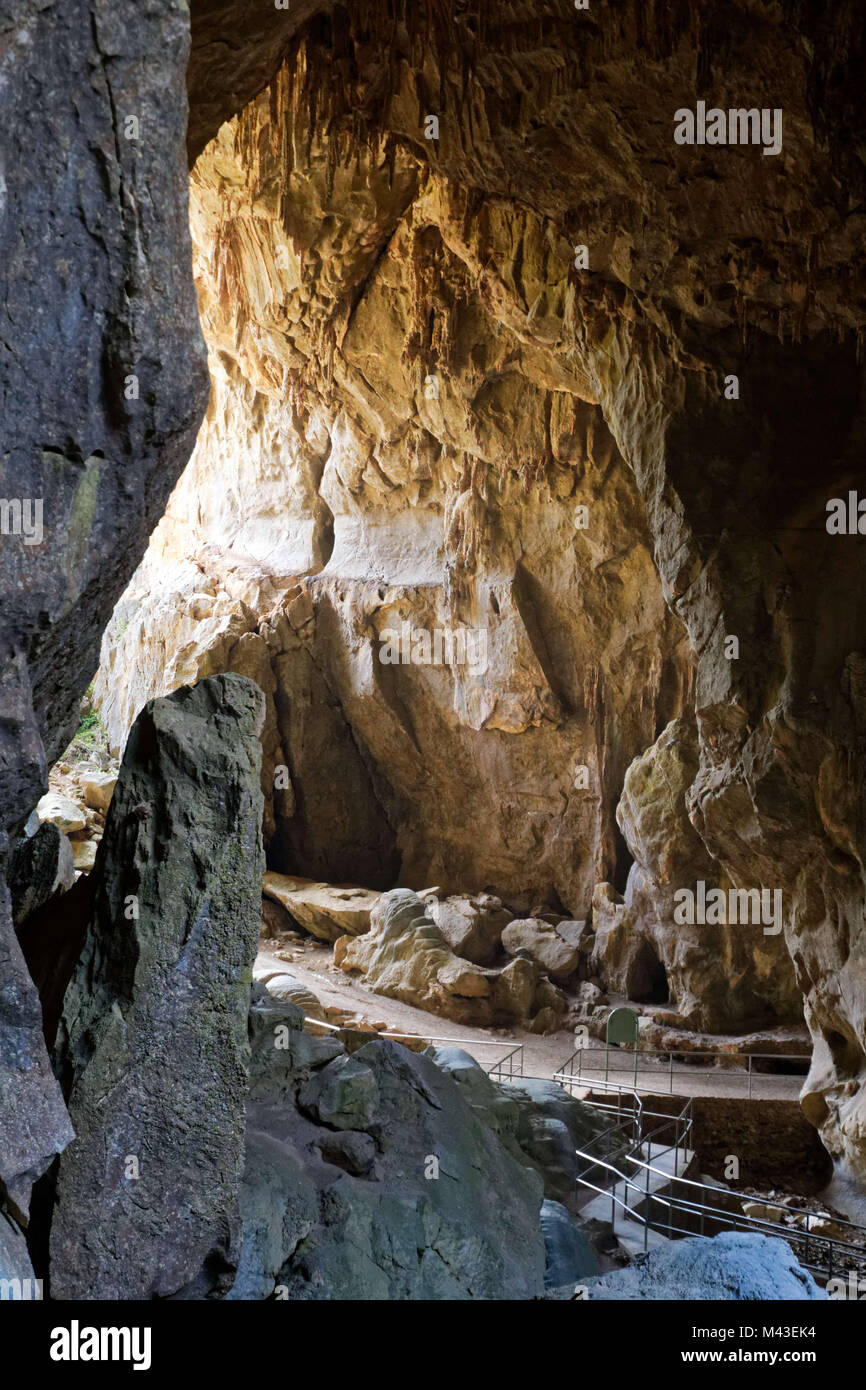 Fig tree cave hi-res stock photography and images - Alamy