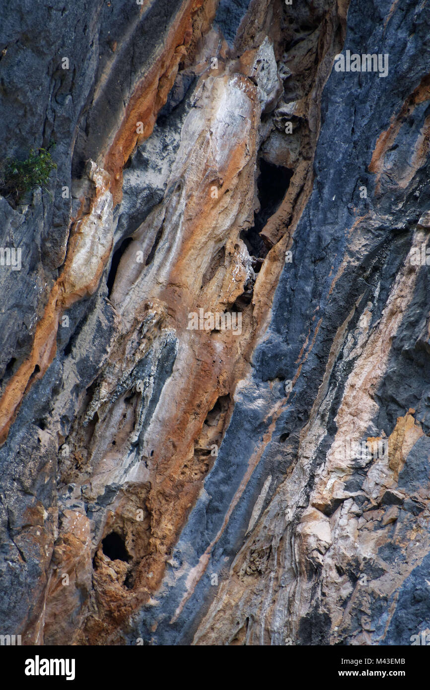 Stock Photo - Fig Tree Cave, Wombeyan Caves, Wombeyan Karst ...