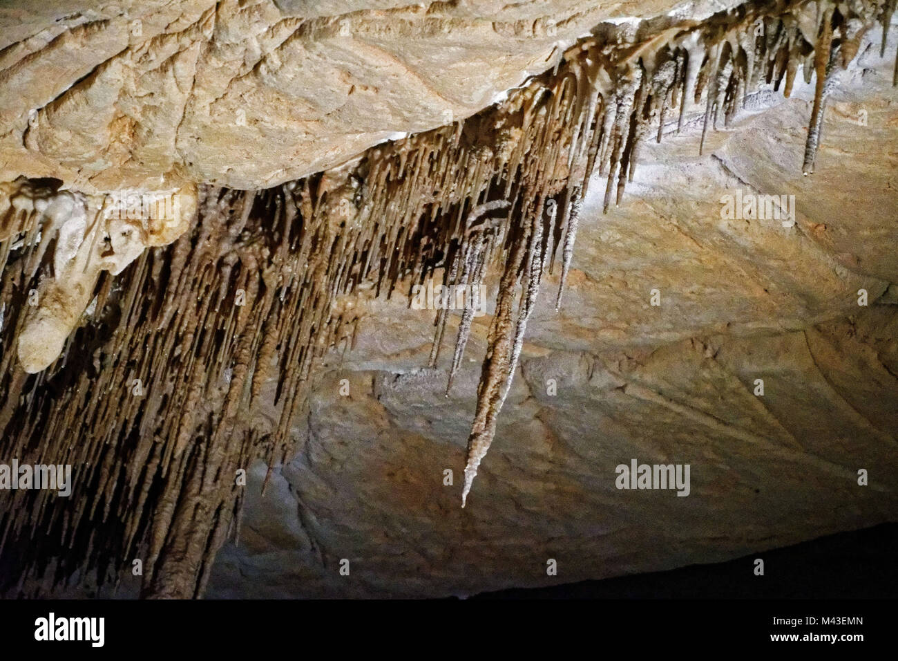 Stock Photo - Mulwaree Cave, Wombeyan Caves, Wombeyan Karst ...