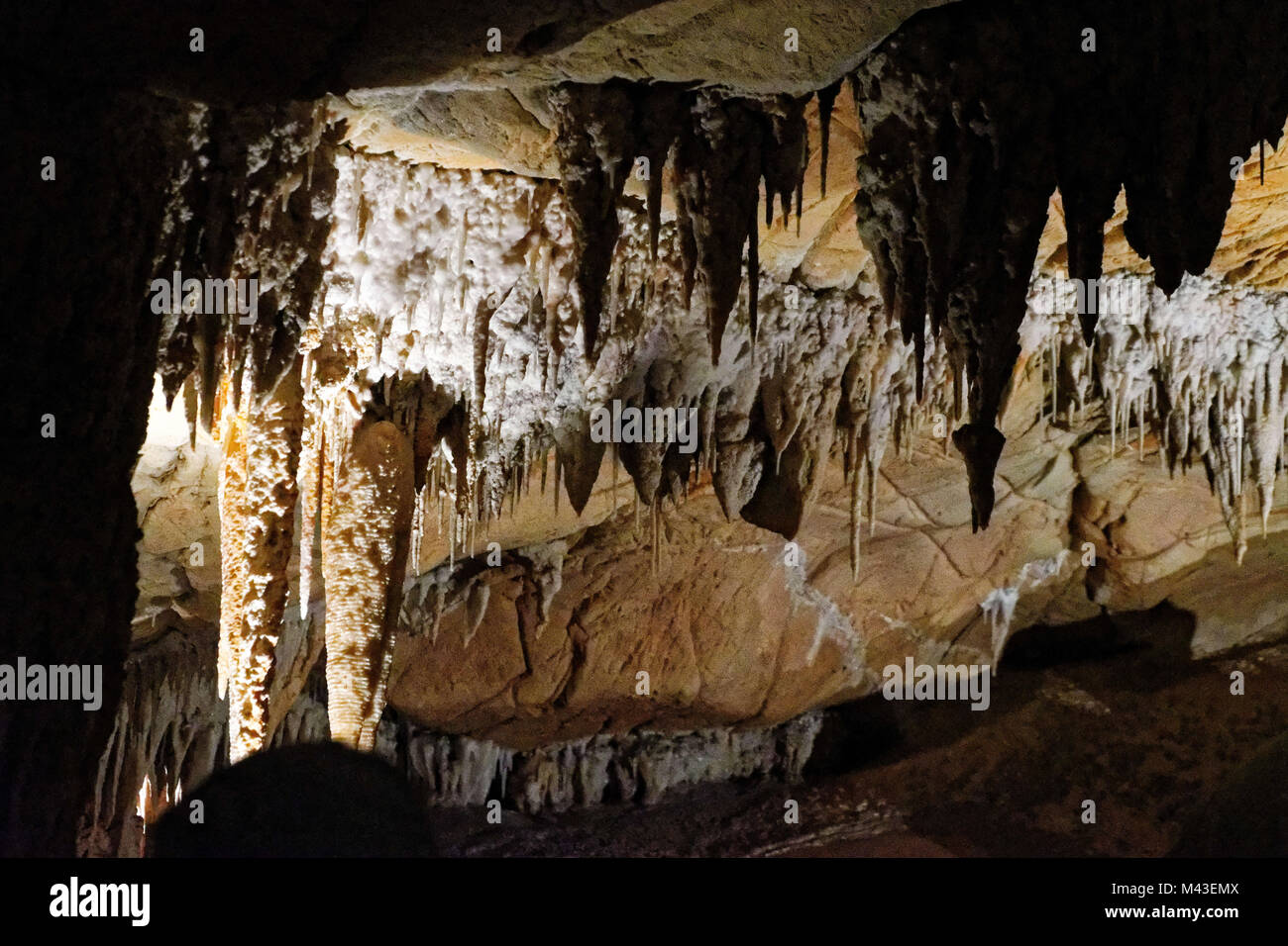 Stock Photo - Mulwaree Cave, Wombeyan Caves, Wombeyan Karst ...