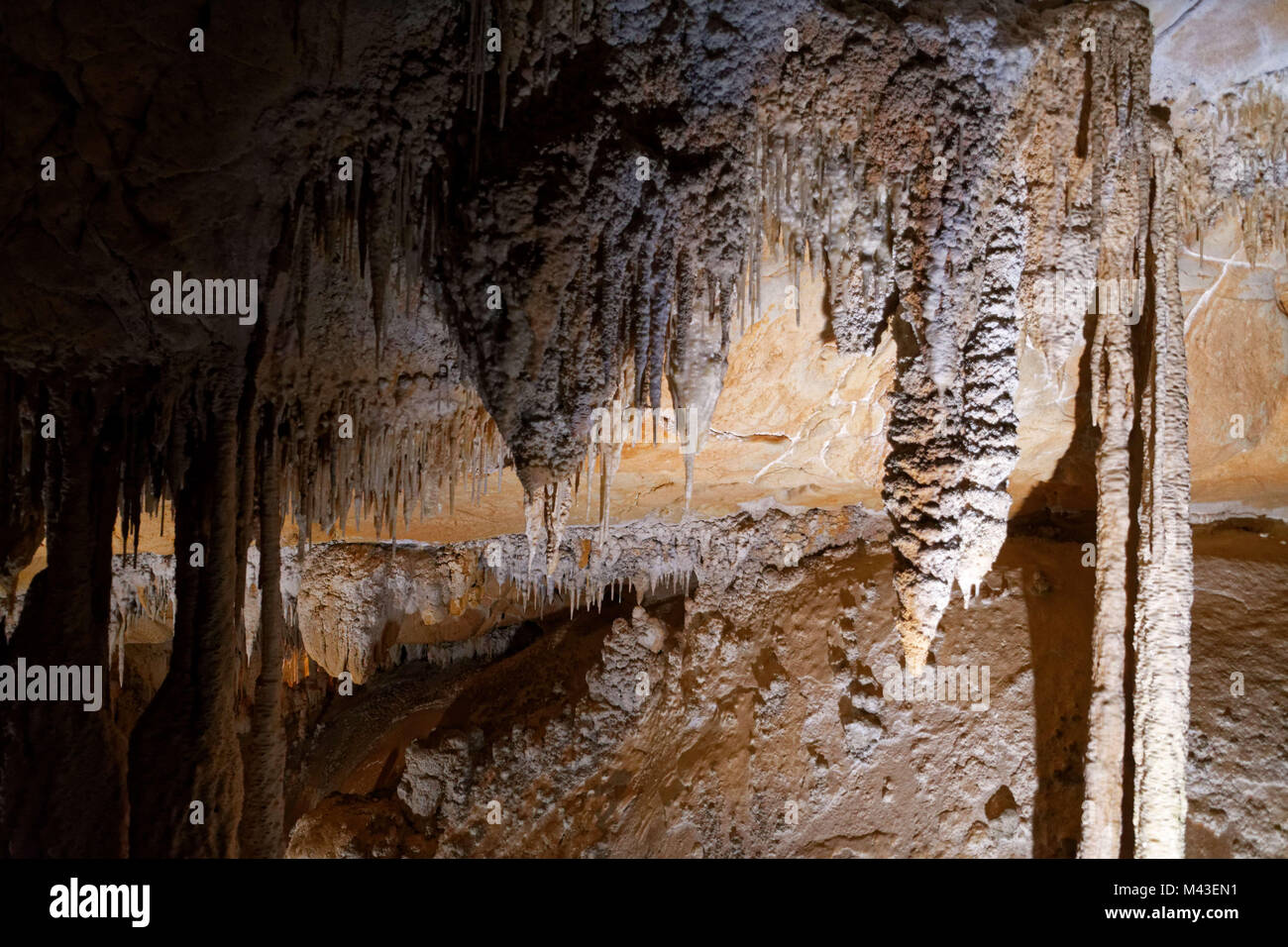 Stock Photo - Mulwaree Cave, Wombeyan Caves, Wombeyan Karst ...