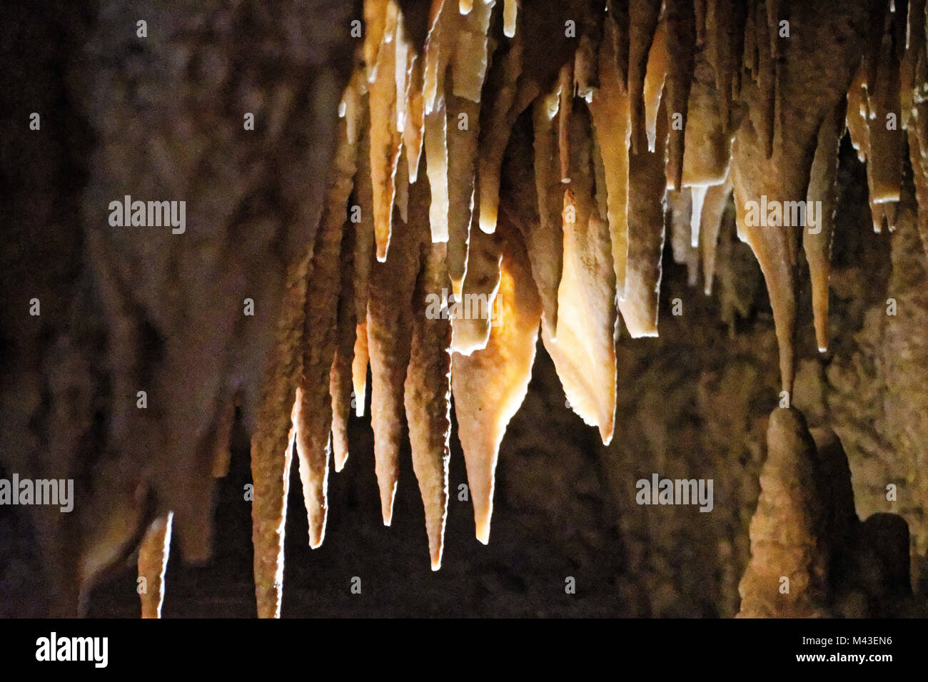 Stock Photo - Mulwaree Cave, Wombeyan Caves, Wombeyan Karst ...