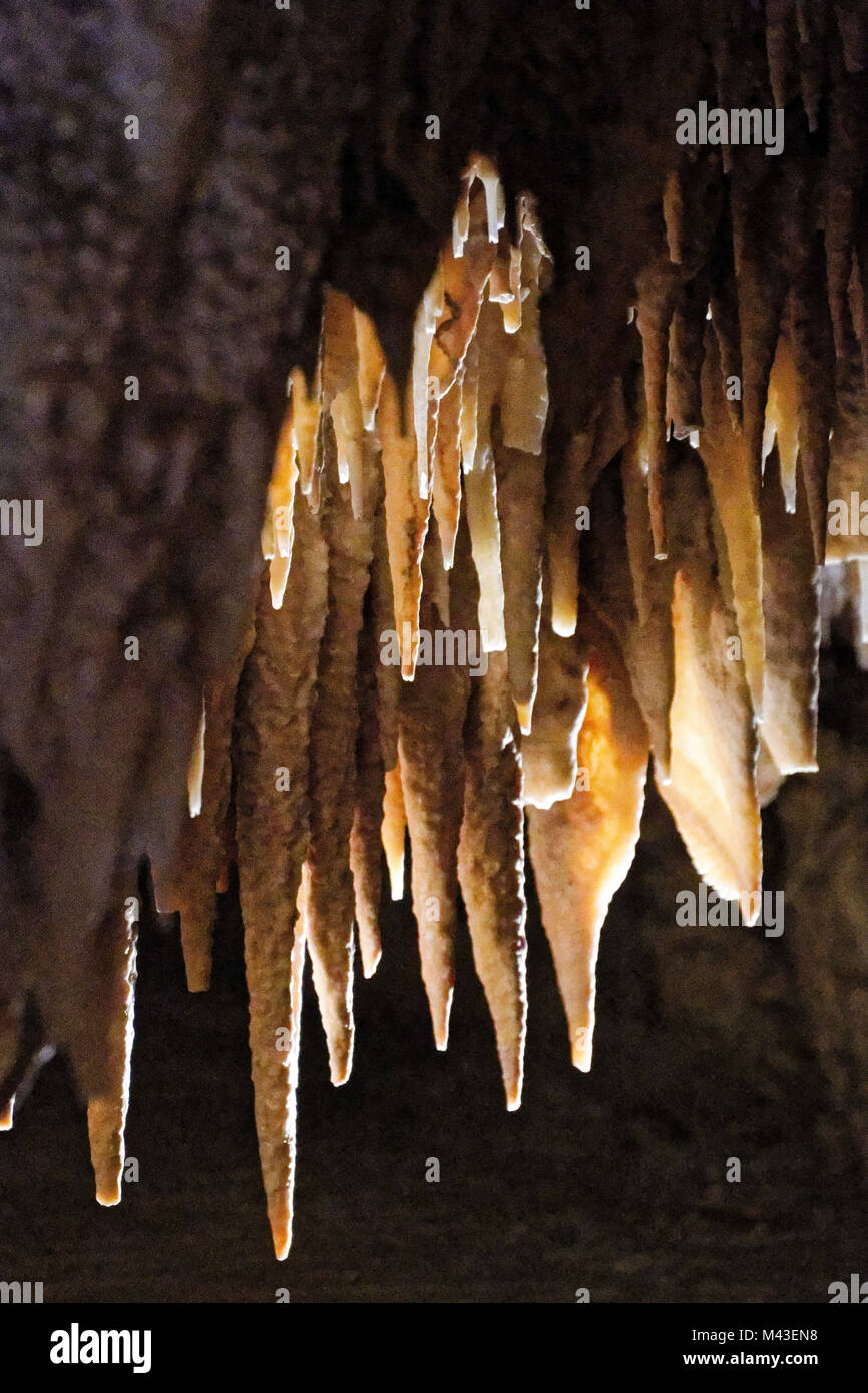 Stock Photo - Mulwaree Cave, Wombeyan Caves, Wombeyan Karst ...
