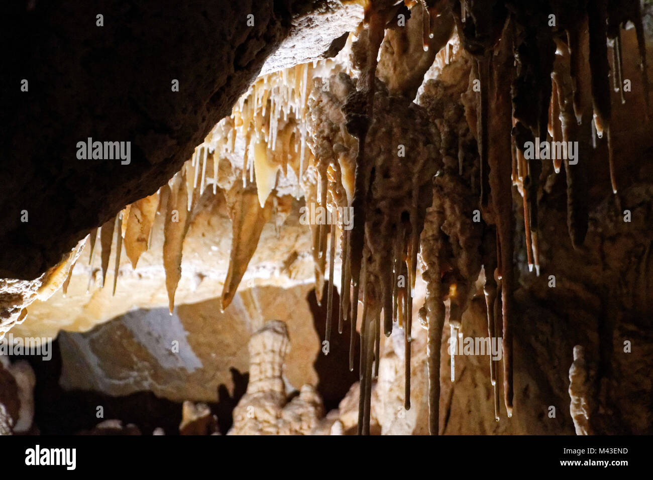 Stock Photo - Mulwaree Cave, Wombeyan Caves, Wombeyan Karst ...