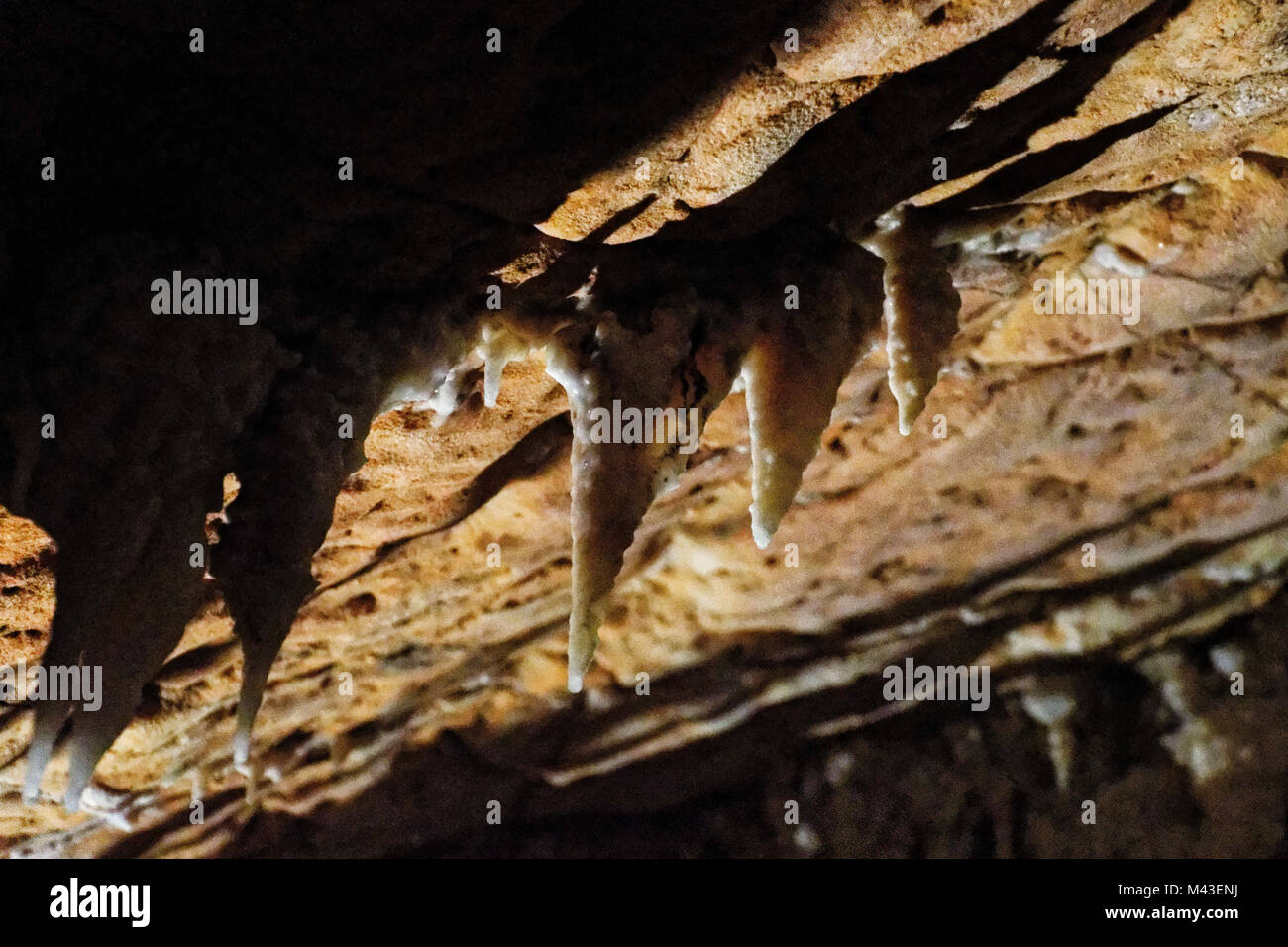 Wombeyan karst conservation reserve hi-res stock photography and images ...