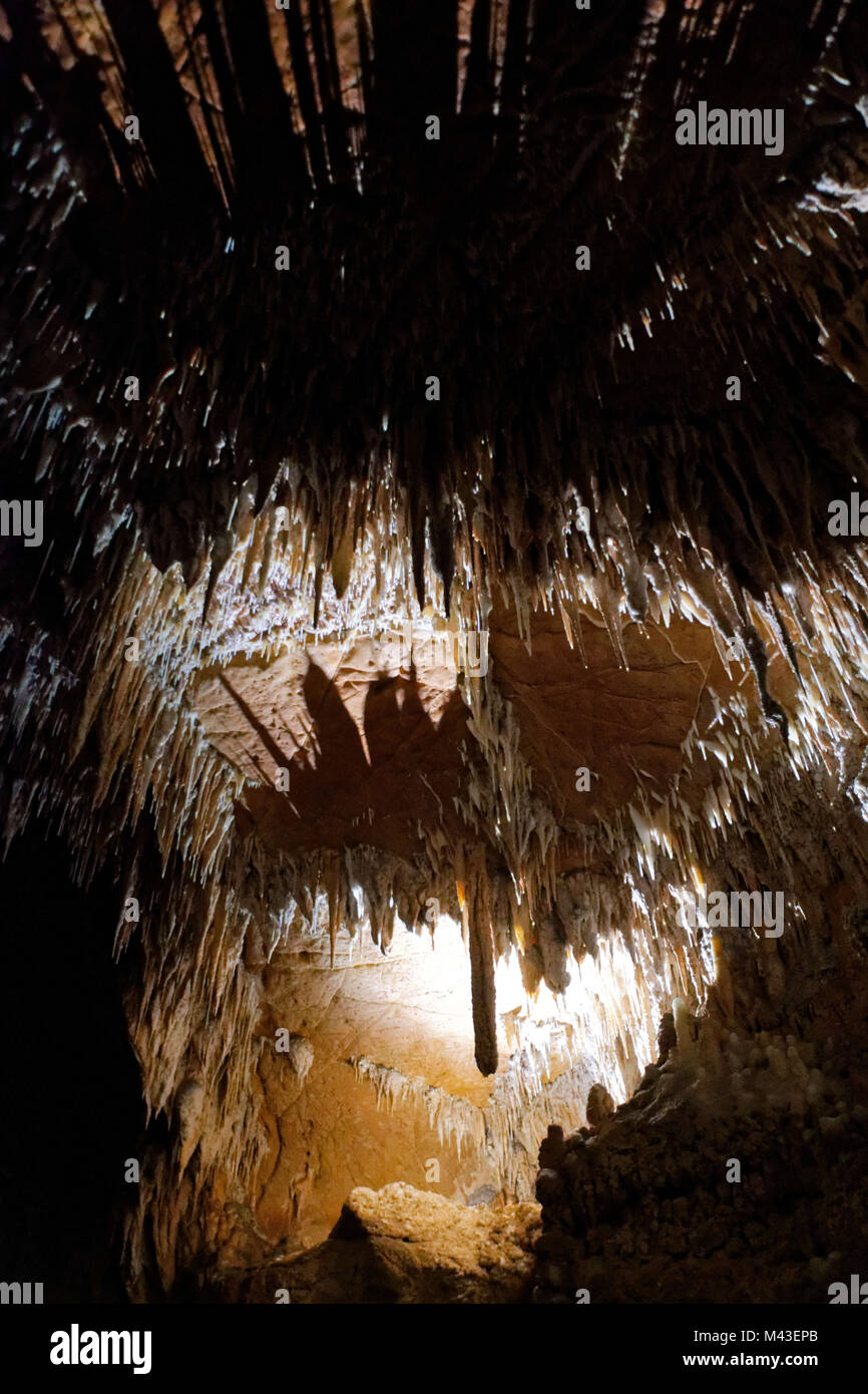 Stock Photo - Mulwaree Cave, Wombeyan Caves, Wombeyan Karst ...
